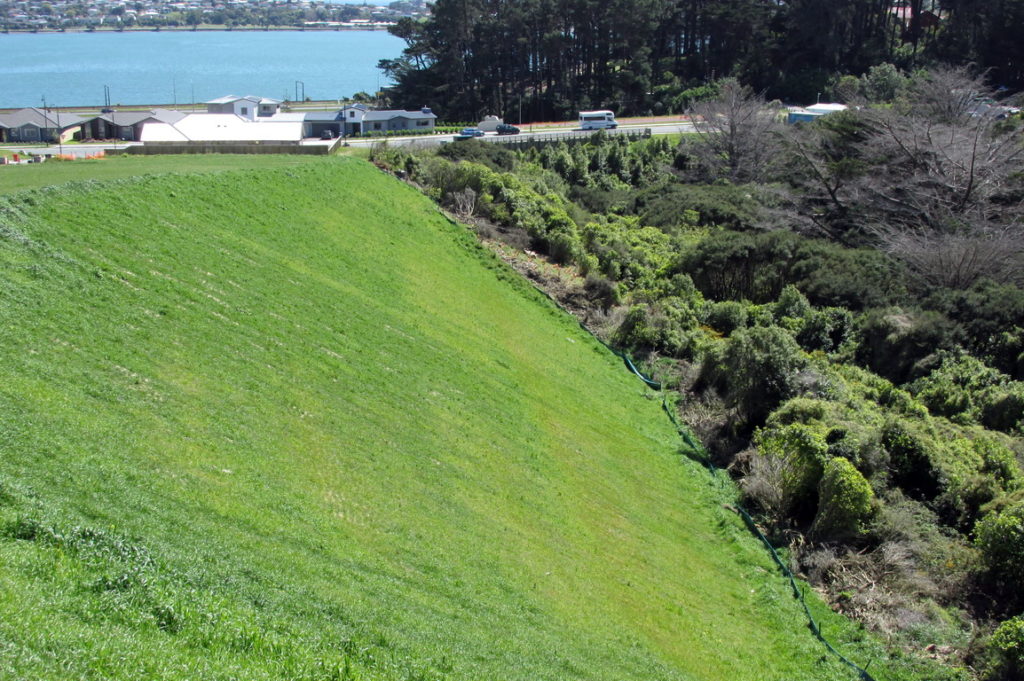 Batter Stabilisation - Scott Paten Consulting - Erosion and Sediment ...